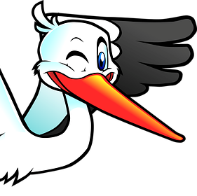 Service universitaire des Activités Physiques et Sportives de ...